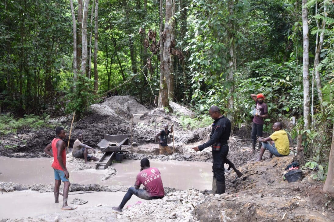 Forest elephant status in Conkouati Congo | ECF