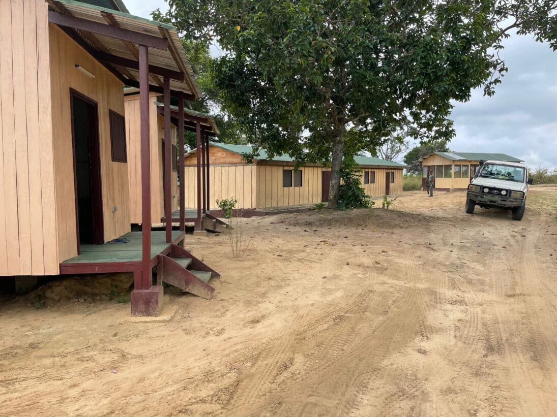 Forest elephant status in Conkouati Congo | ECF