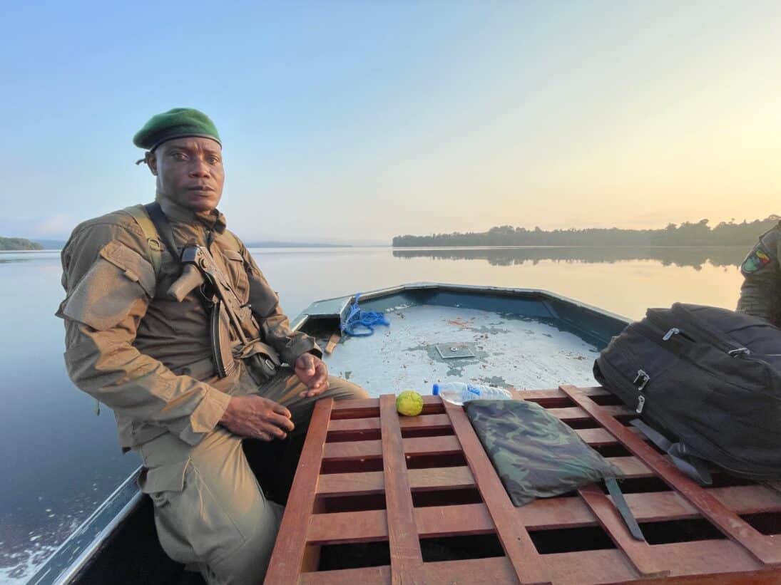 Forest elephant status in Conkouati Congo | ECF