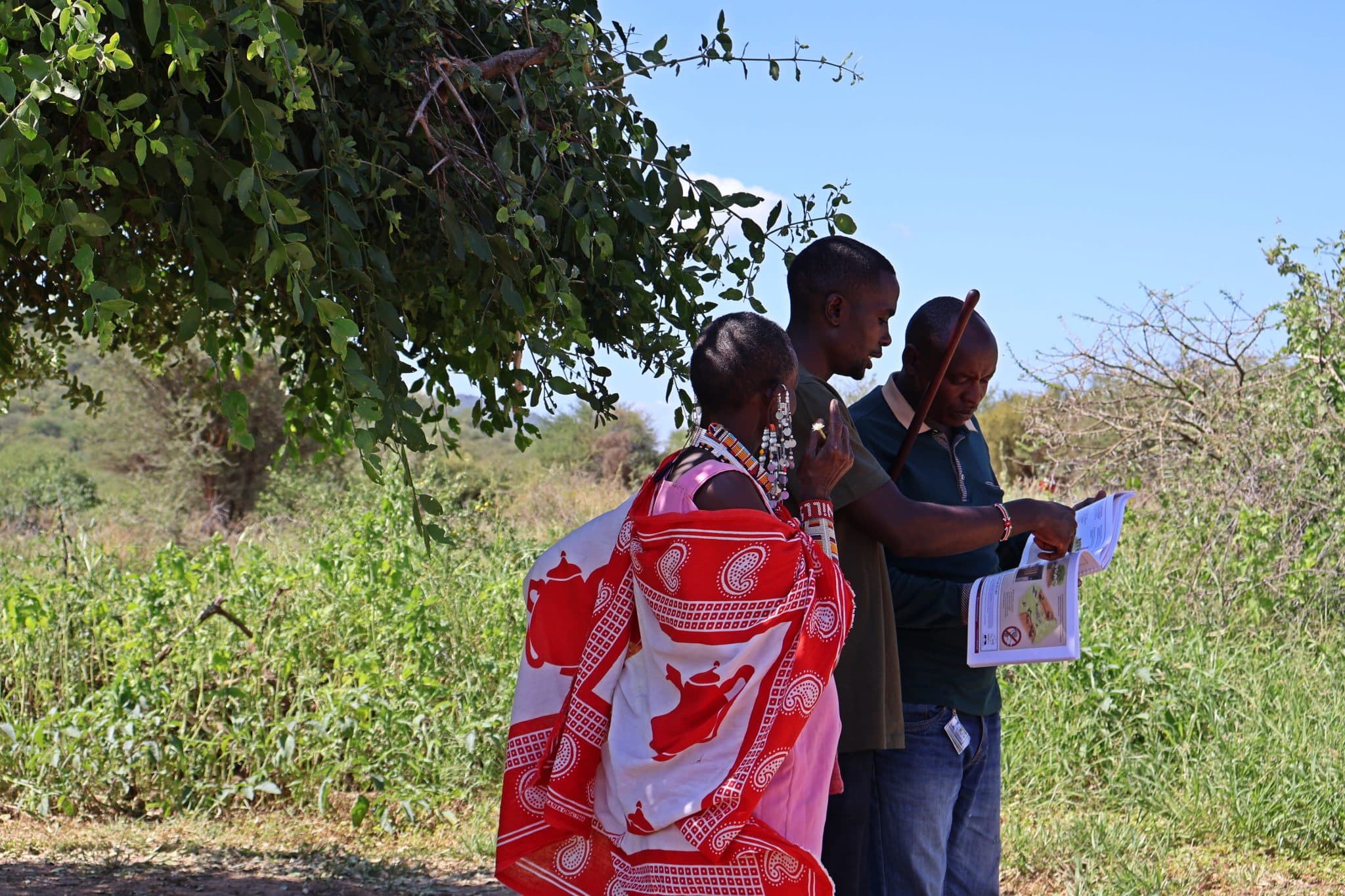Exploring HEC solutions in Kenya's South Rift - Elephant Crisis Fund