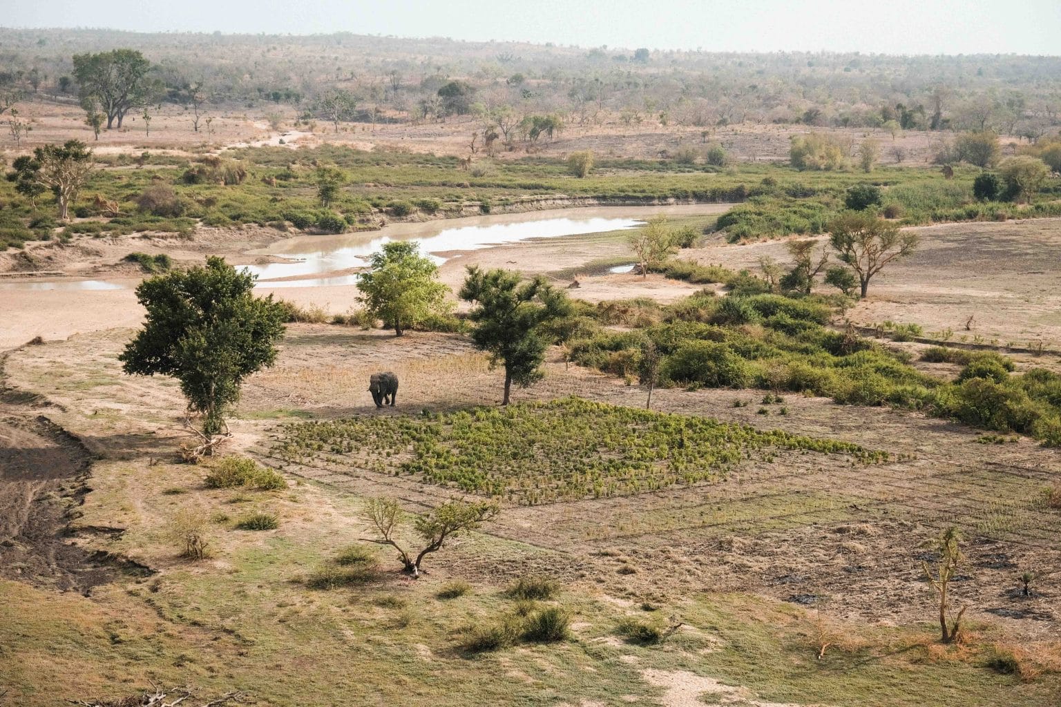 Together for Elephants: Recent ECF grants for projects across Africa ...